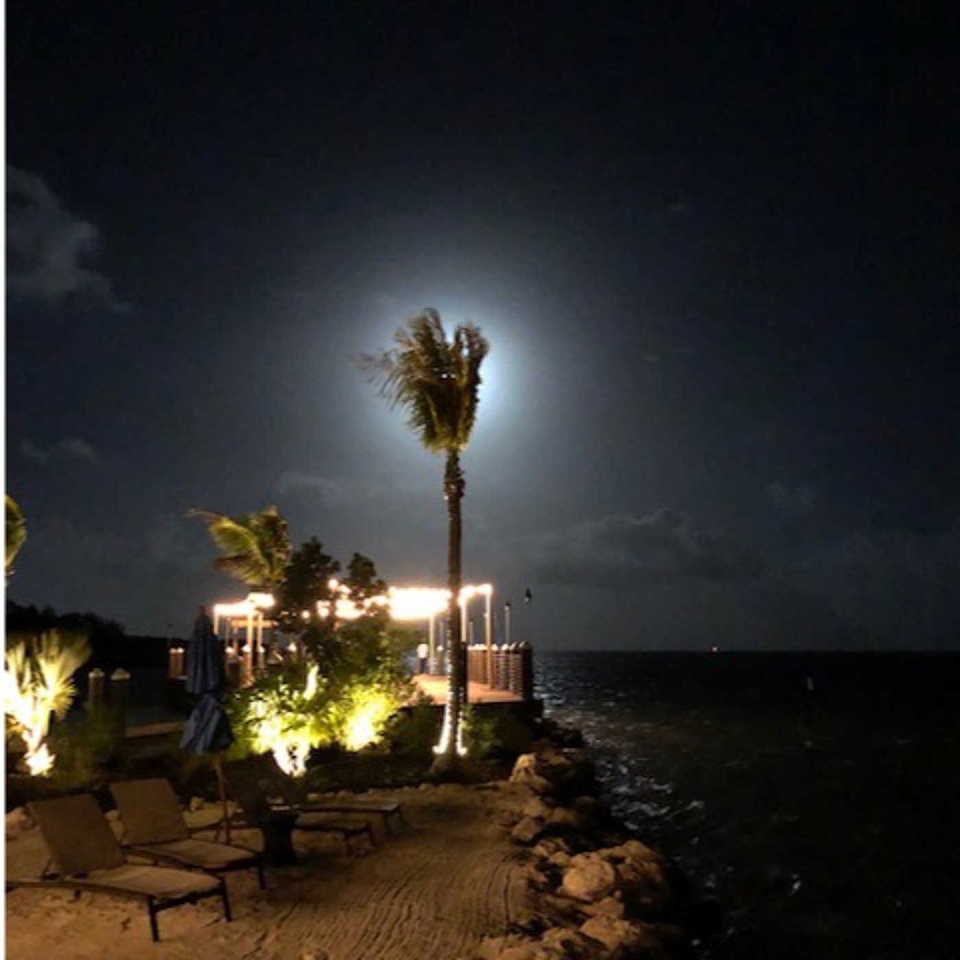 Ep. 61 - Gratitude - Open Key West