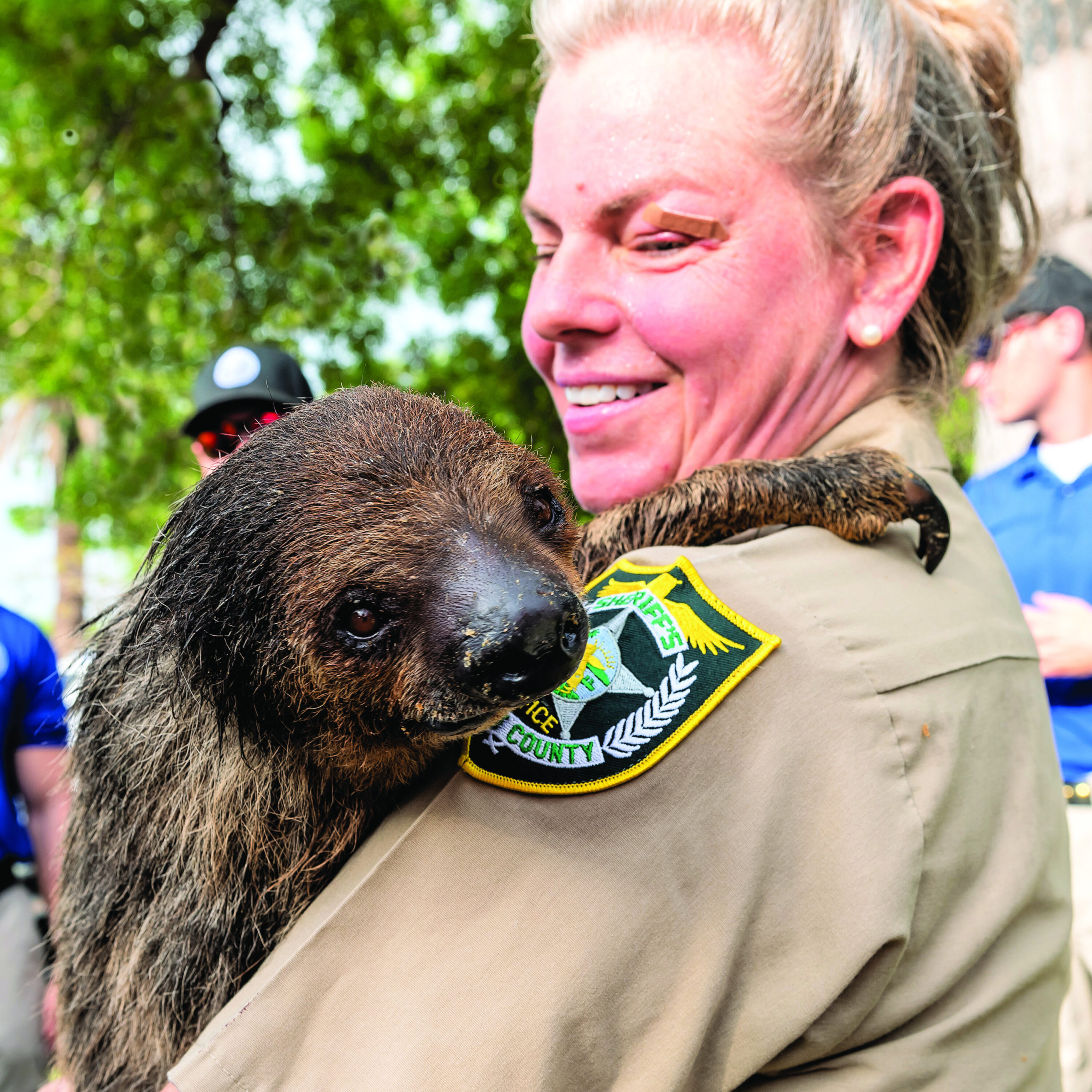 Florida Keys News: Cruise Ship Protests, Mo the Sloth & Holiday ...